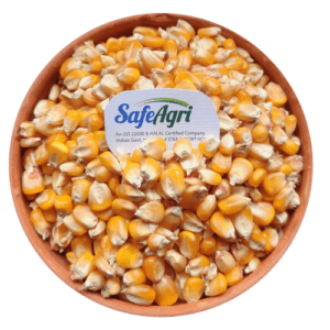 Yellow Corn - Safeagritrade Processors and Exporters